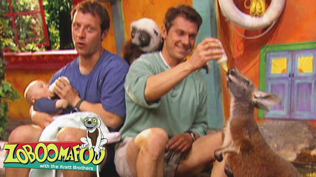 Grow, Zoboo, Grow | Zoboomafoo - WildBrain | Movies for Kids - YouTube