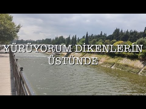 İbrahim Tatlıses- Yürüyorum Dikenlerin Üstünde