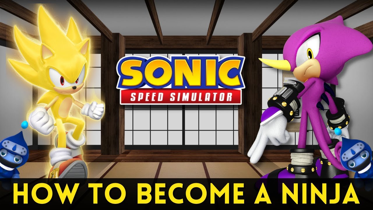 We Finally Became A Ninja In Sonic Speed Simulator - YouTube