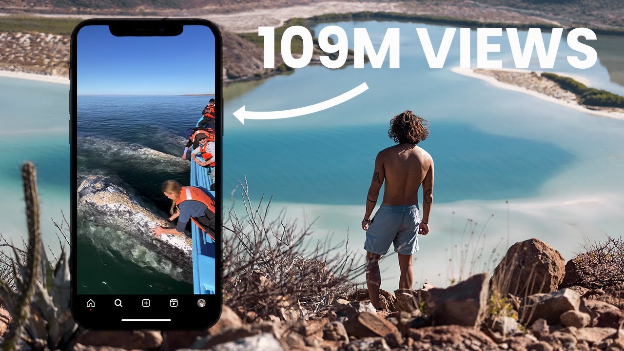 The MOST Famous Whale Ever - YouTube