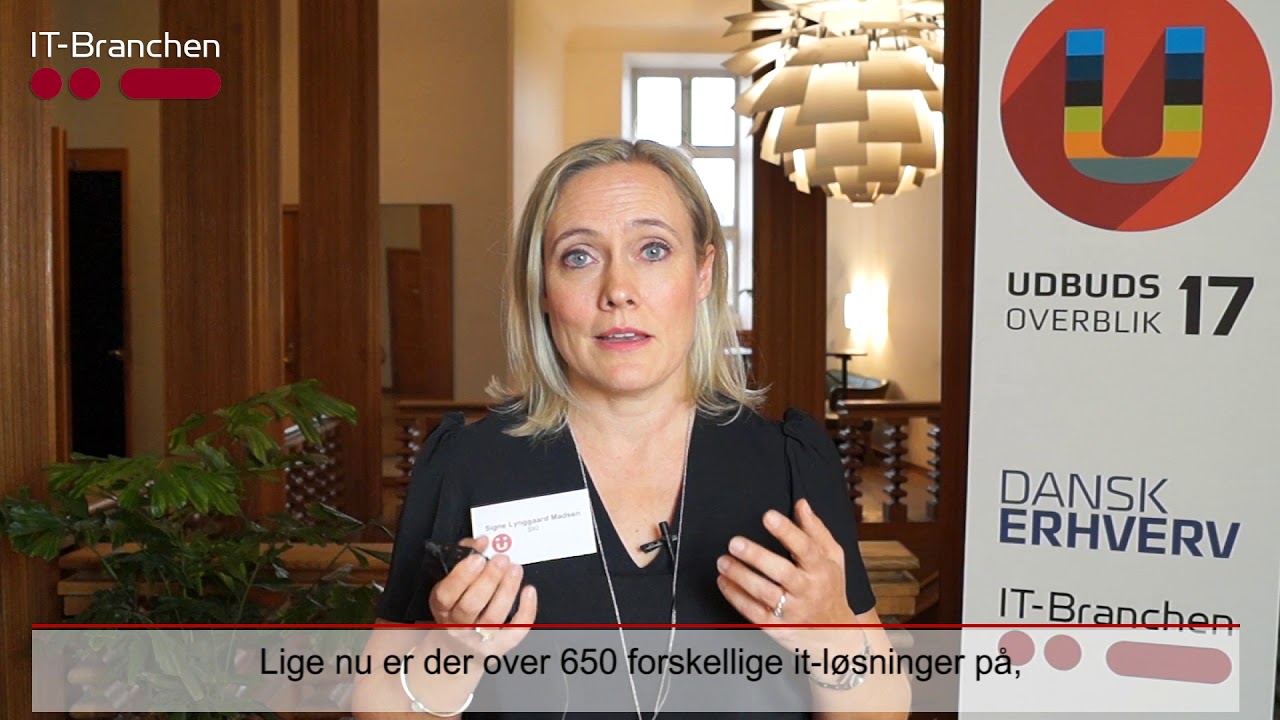 Direktør for SKI, Signe Lynggaard Madsen, ved årets udbudsoverblik ...