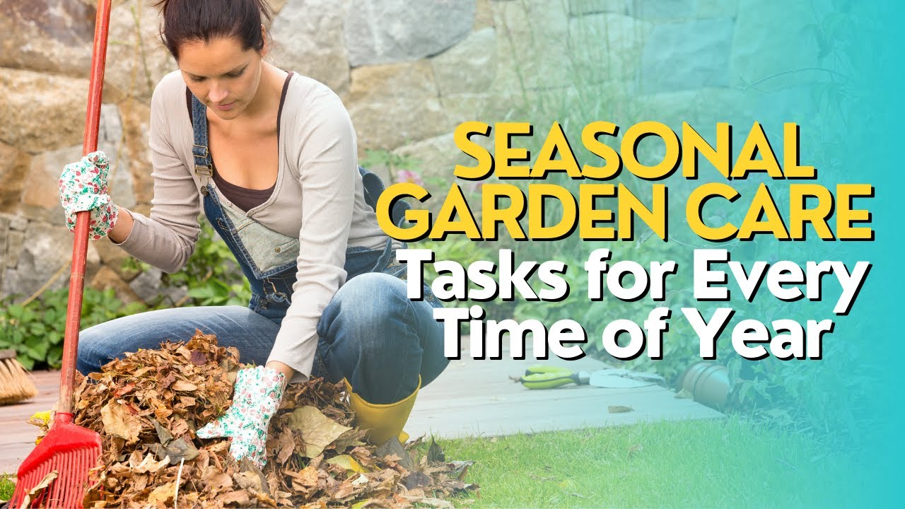 Seasonal Garden Care: Tasks for Every Time of Year - YouTube