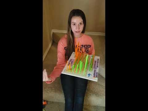 Periodic Table Trends with 3D straw periodic table model - Chem Lab 119 ...