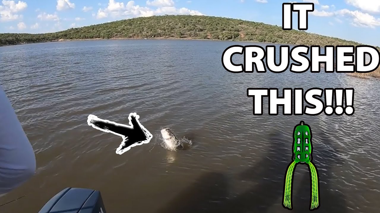 Topwater Bass Hookup - Rust De Winter Dam in South Africa - YouTube