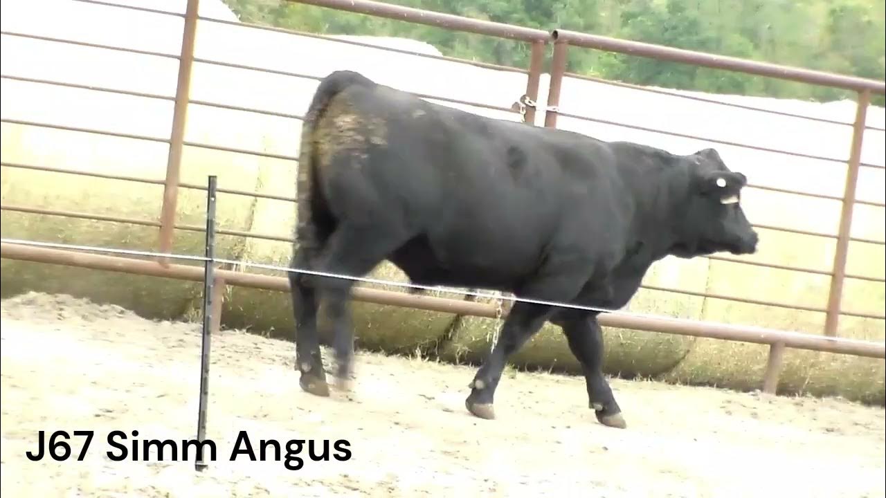 J67 Made with Clipchamp - YouTube