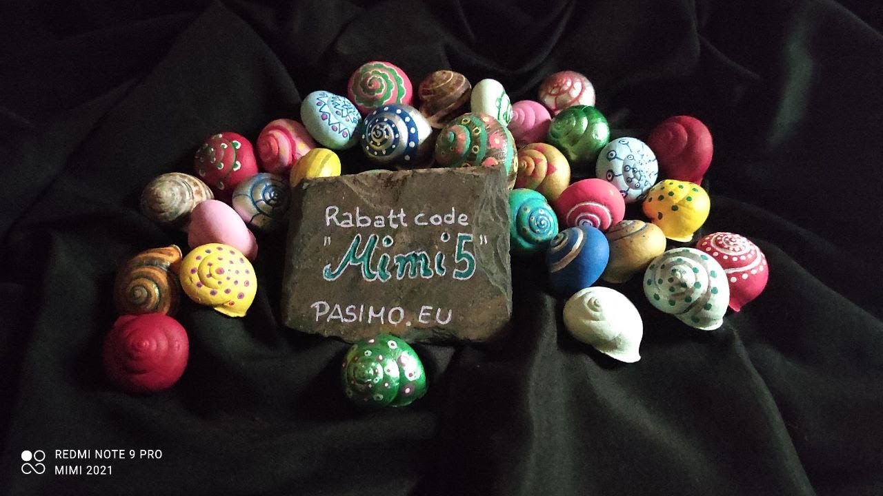 Schneckenhaus belmalen mit Pasimo Acryl Stiften | How to draw | # ...