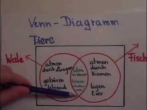 Venn-Diagramm - Erklärung - YouTube