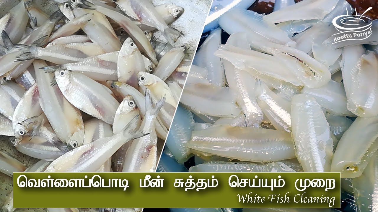 வெள்ளைப்பொடி மீன் சுத்தம் செய்வது எப்படி l Vellai Podi Meen Cleaning l ...