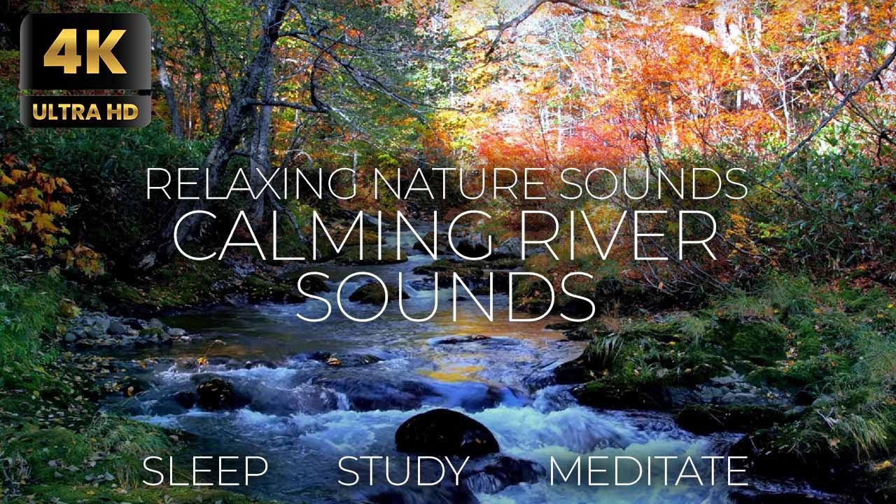 4K Calming River Sounds - Ultra HD for Deep Sleep, Study, and Meditation | Relaxing Nature Video ...