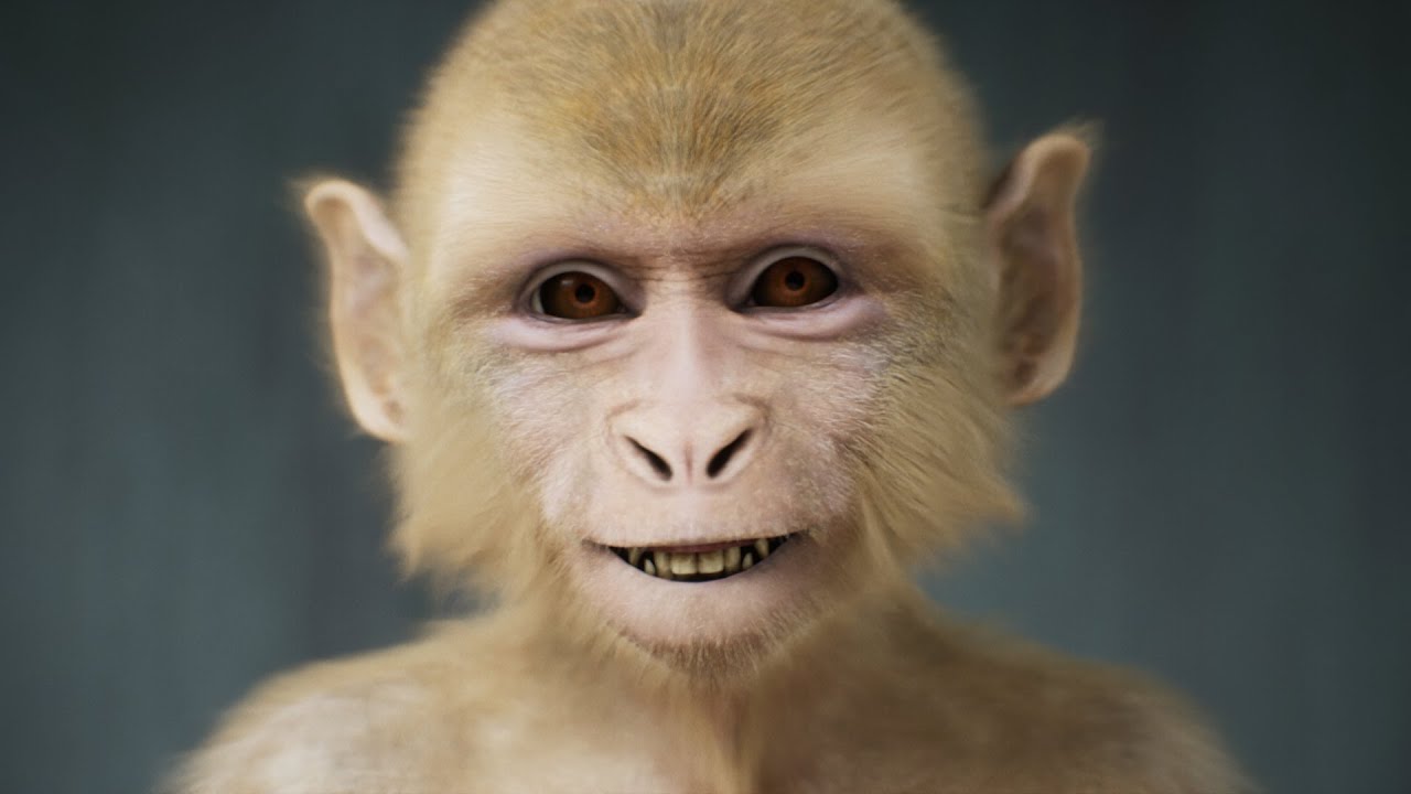 Metahuman monkey topology independent (raytraced version) - YouTube