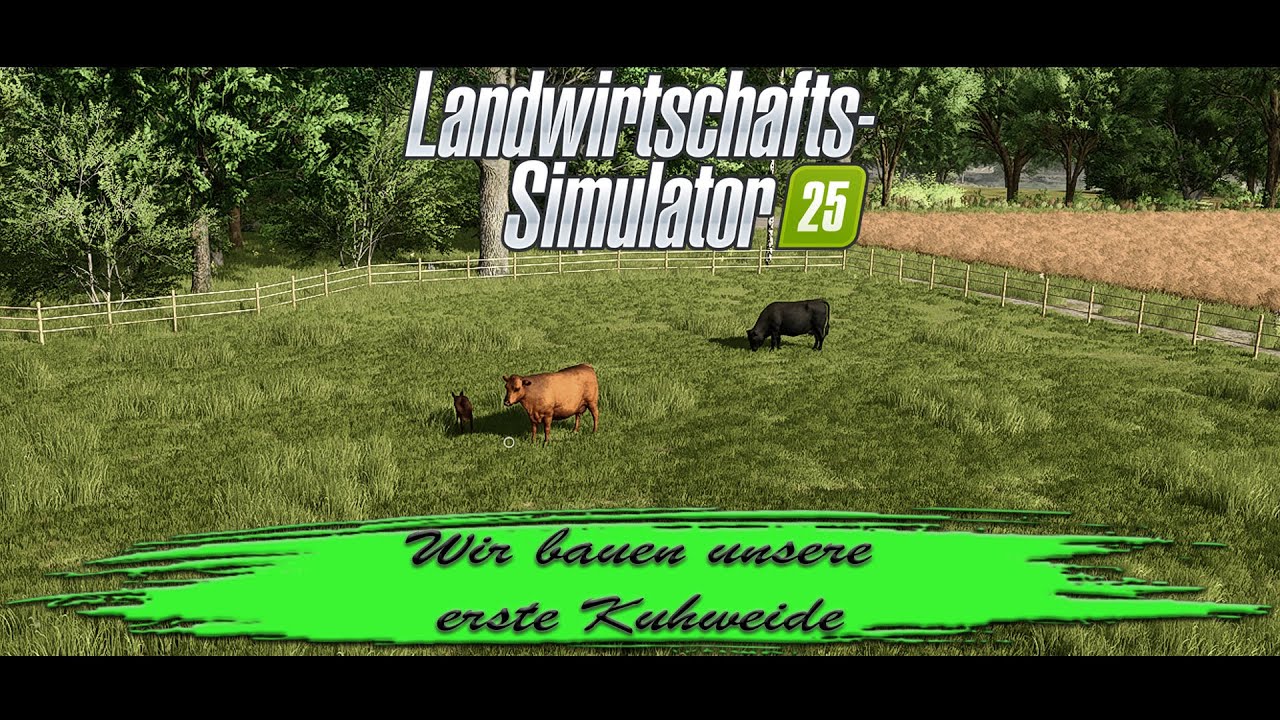 LS 25 - Wir bauen unsere erste Kuhweide! - LS25 - YouTube