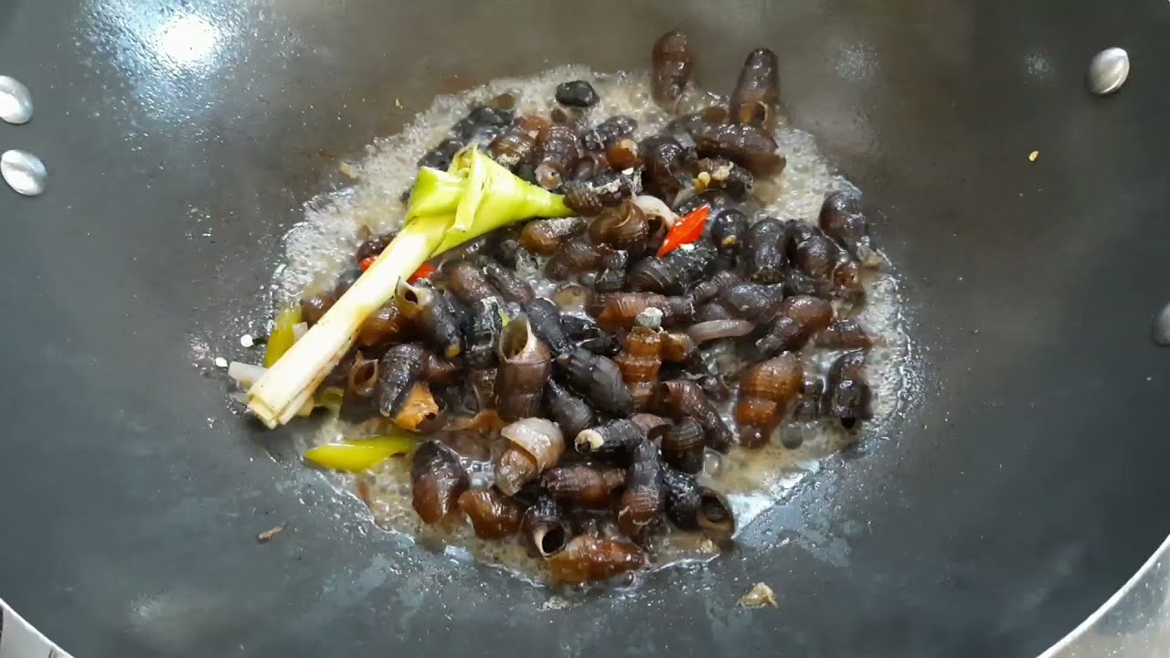 Spicy Susong Pilipit in Coconut Milk/ Ginataang Suso (snail)/ Extra ...