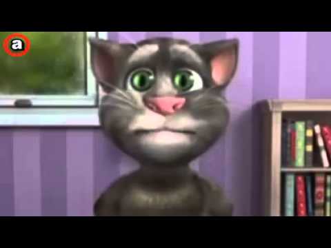 Tom cat kaynana gelin