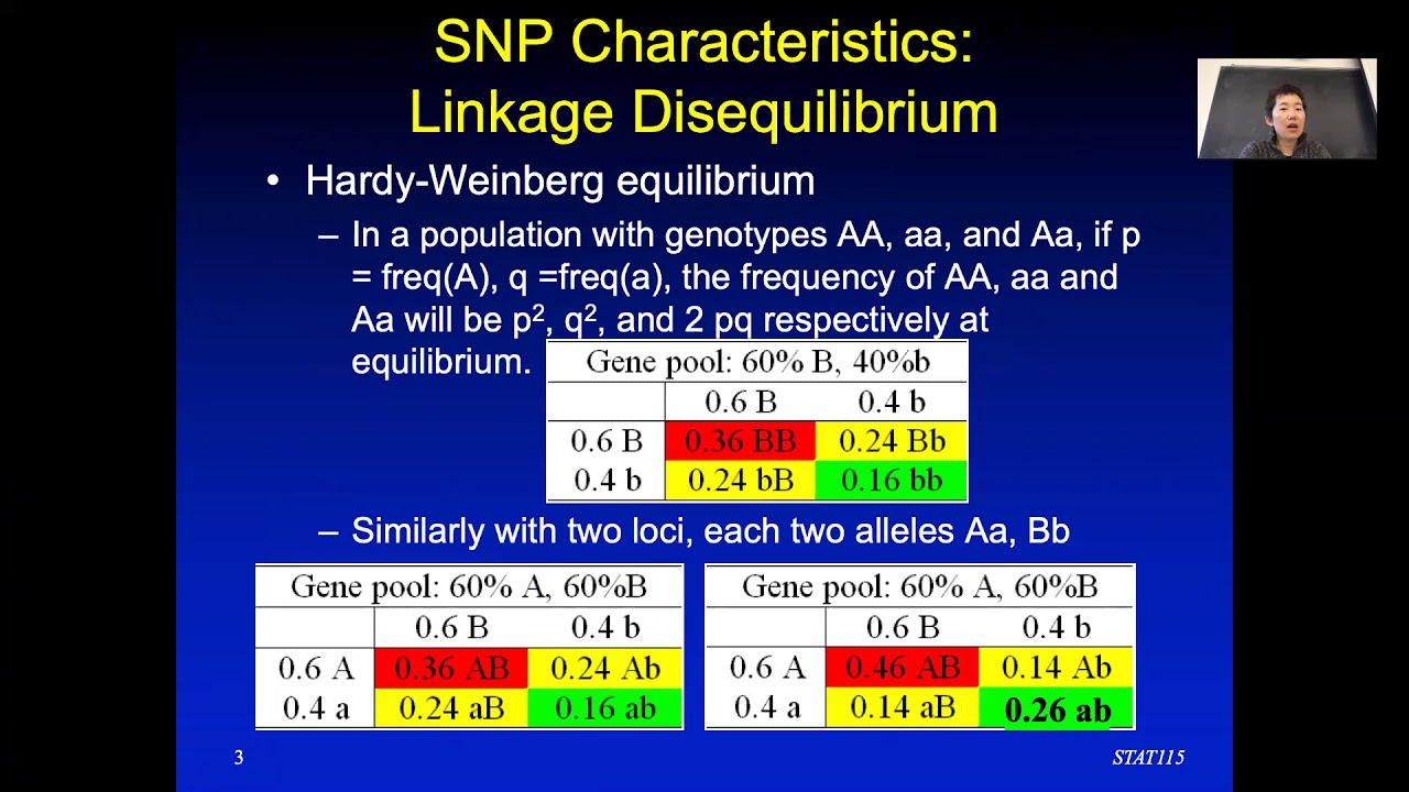 2019 STAT115 Lect15.1 SNPs, LD and Haplotypes - YouTube