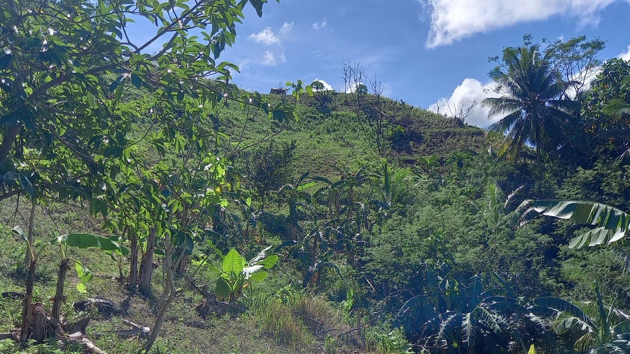 Hiking ba hanap mo?? tara sa hometown namin #masbate #hikingadventures ...