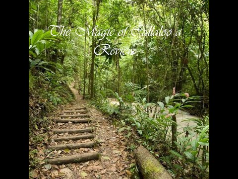 The Magic Callaloo a Review - YouTube