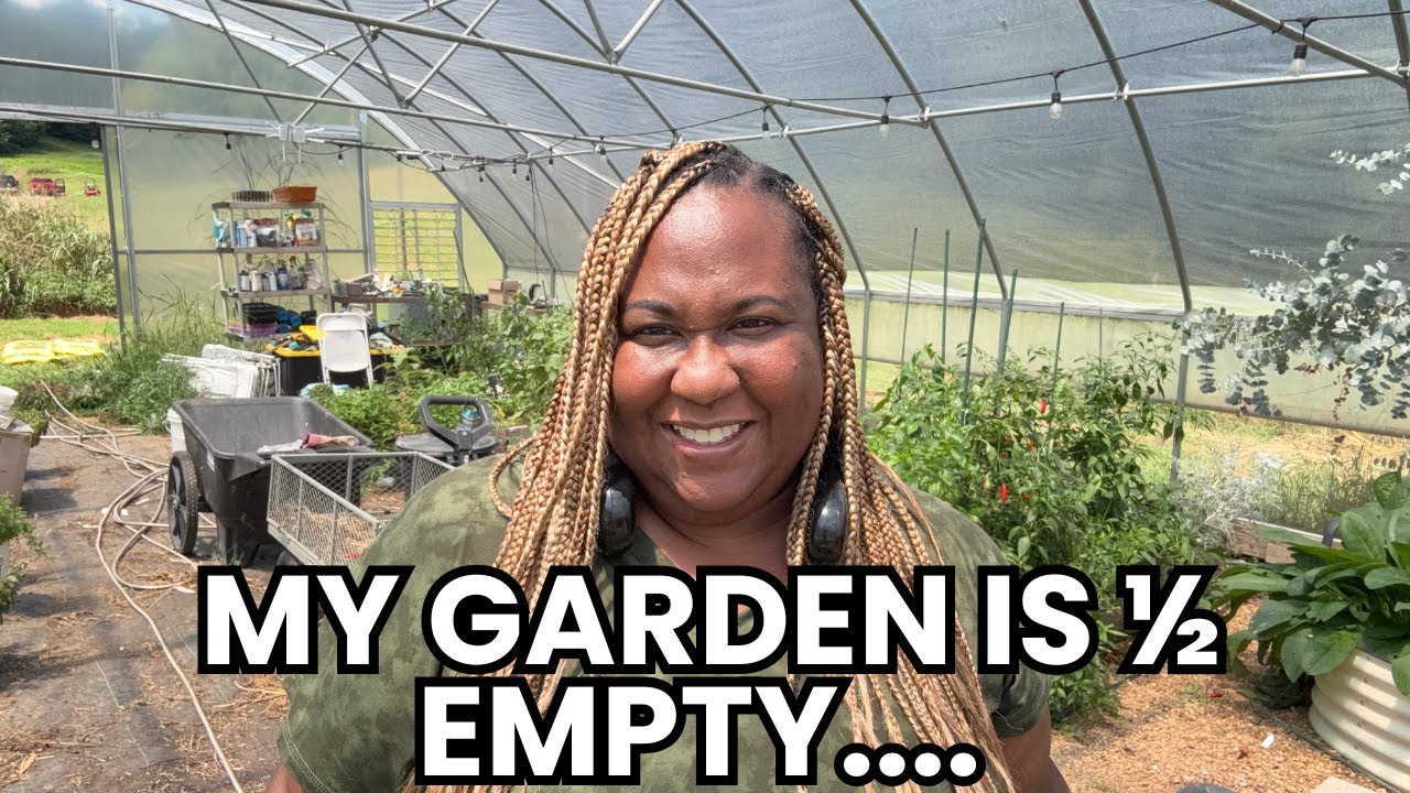 My Garden is 1/2 Empty - YouTube