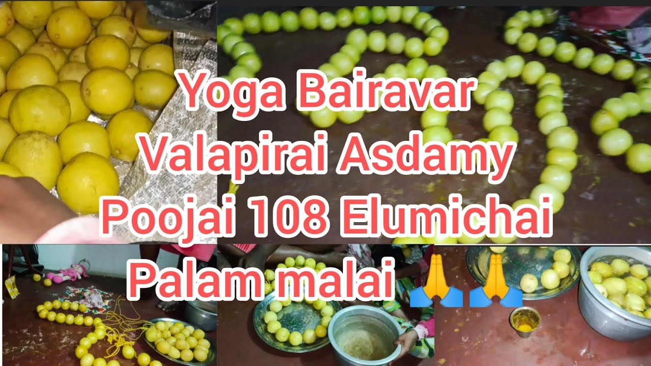Yoga Bairavar Valapirai Asdamy Pooja Elumichai Palam Malai Ready My ...