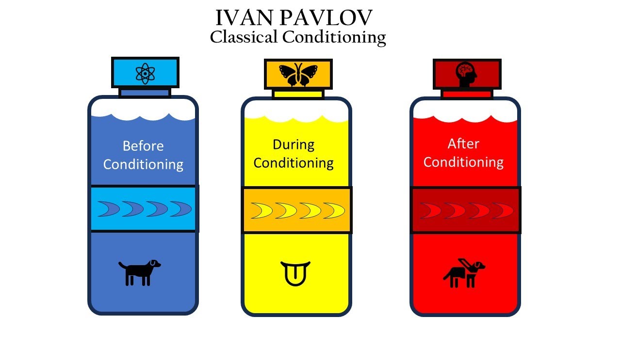 Ivan Pavlov (Classical Conditioning) - YouTube
