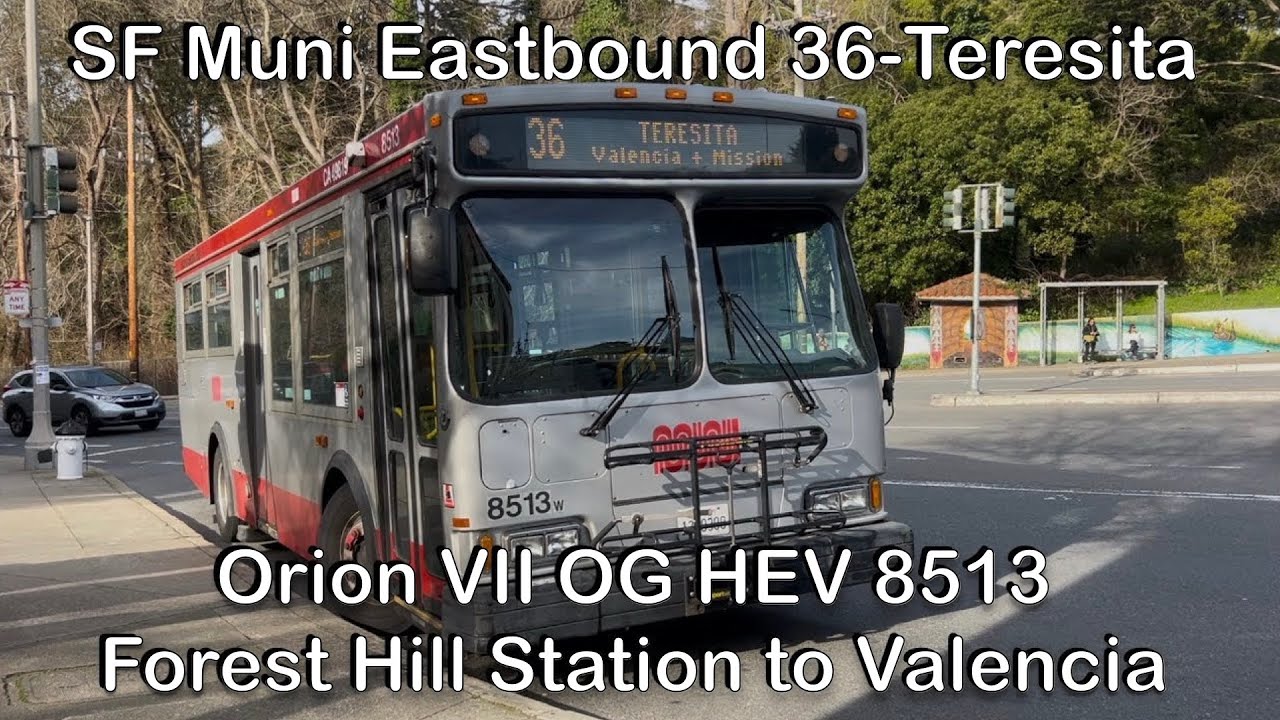 SF Muni Orion VII OG 7.503 Hybrid Bus 8513 Eastbound 36-Teresita Full ...