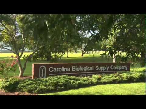 Carolina Biological Supply (Presentacion en Castellano) - YouTube