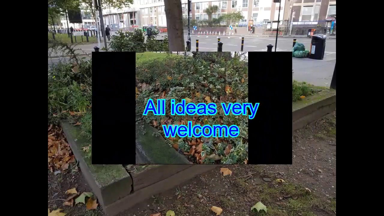 tree pits Albert embankment all planting ideas welcome - YouTube