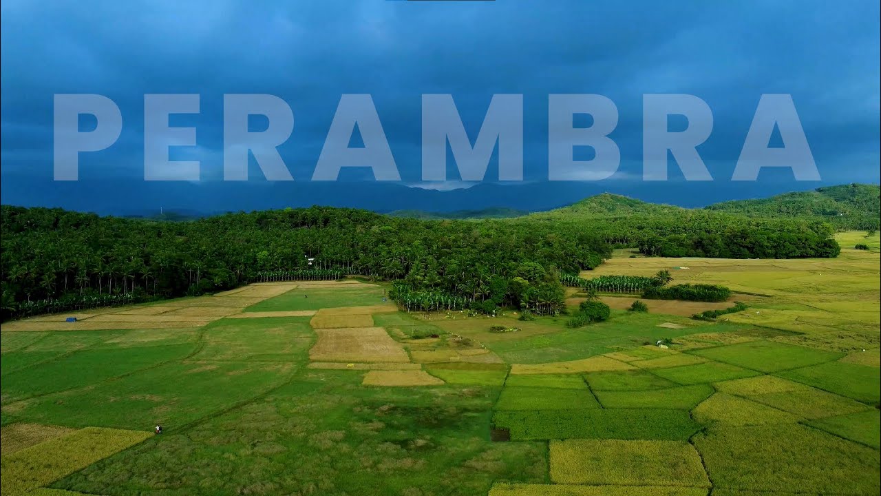 The Beautiful Village in Perambra | Kozhikode | Eswaran Koyiloth Temple ...