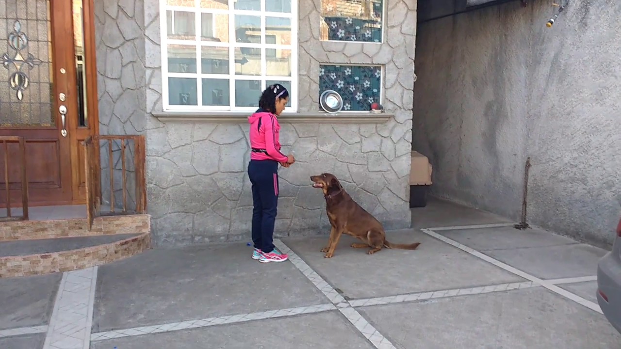 Tarea bloque 10 B213 Carolina Elizabeth Merlo Fernández - YouTube