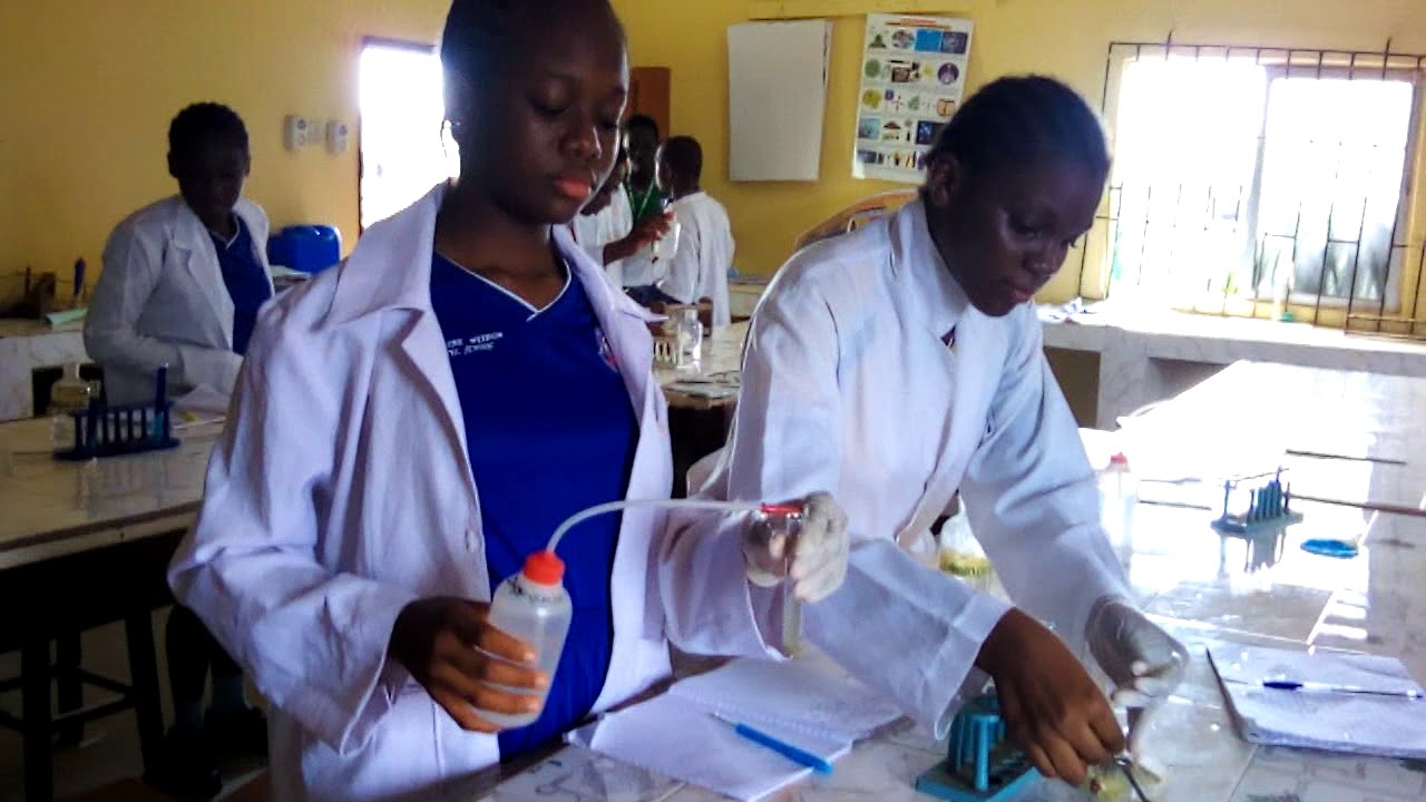 Qualitative analysis- tests for copper (ii) ions and iron (ii) ions ...