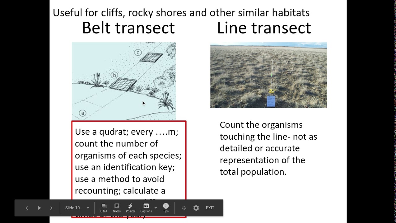 Sampling habitiats 4.2.1 Biodiversity 6.3.1 Ecosystems - YouTube