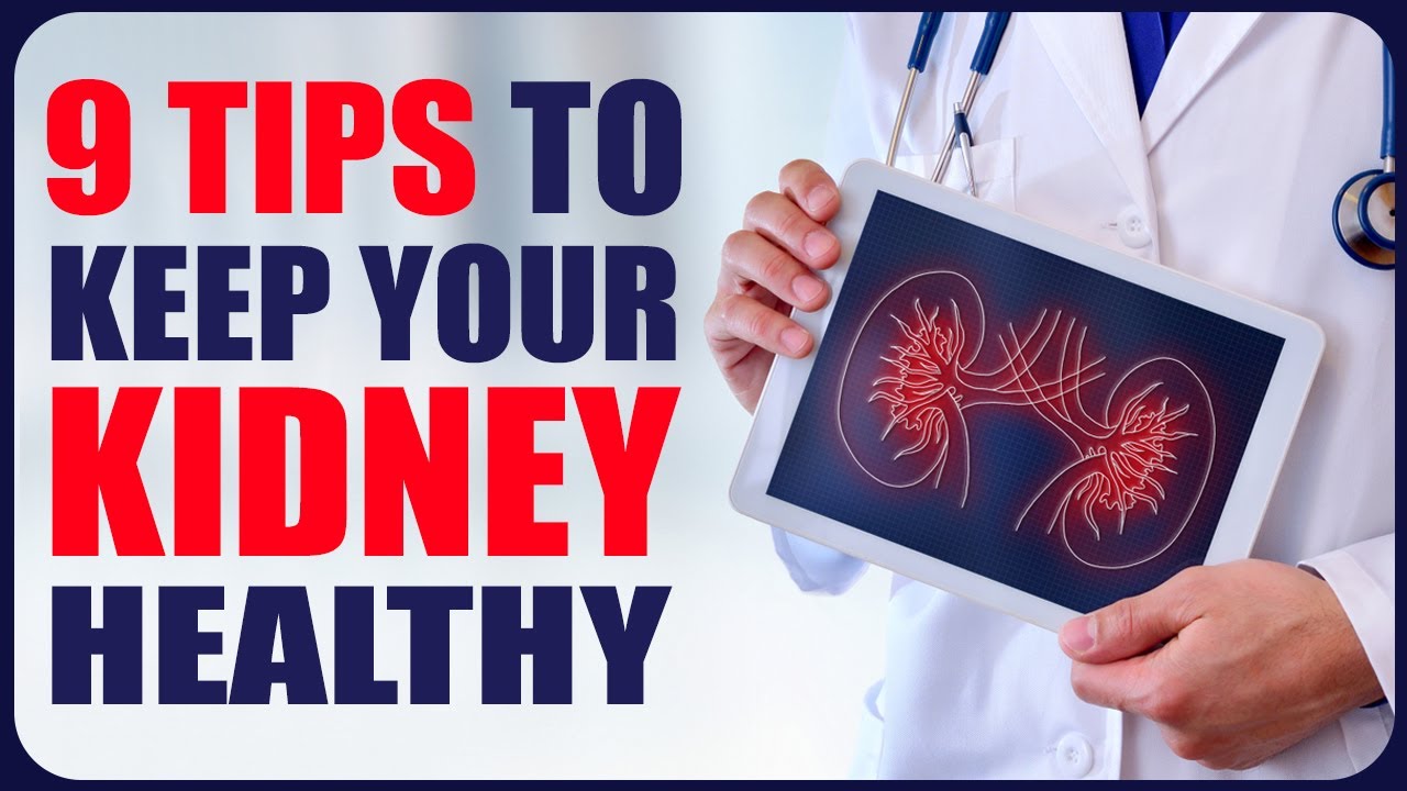 9 Precautions to Keep Kidney Healthy Forever | How to Improve Kidney ...