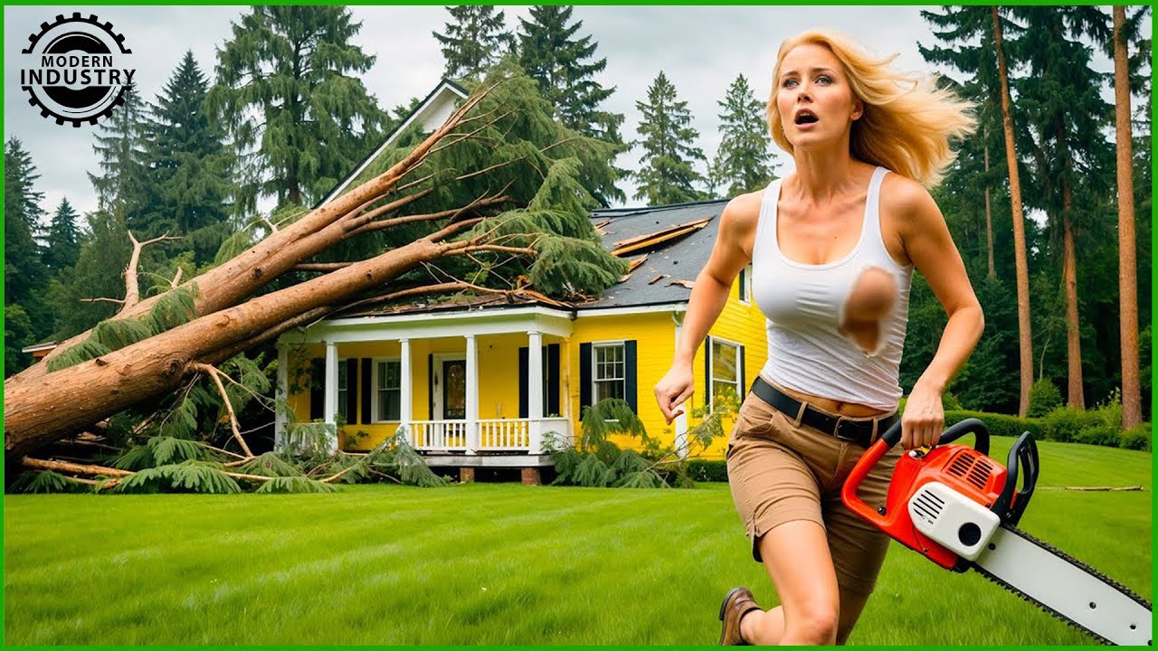 TOP BIG TREE FAILS | Dangerous Idiots Cutting Tree Fails Skill With ...