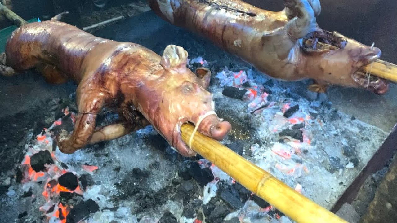 Suckling Pigs | Filipino BBQ | Lechon | ORC Filipino BBQ - YouTube