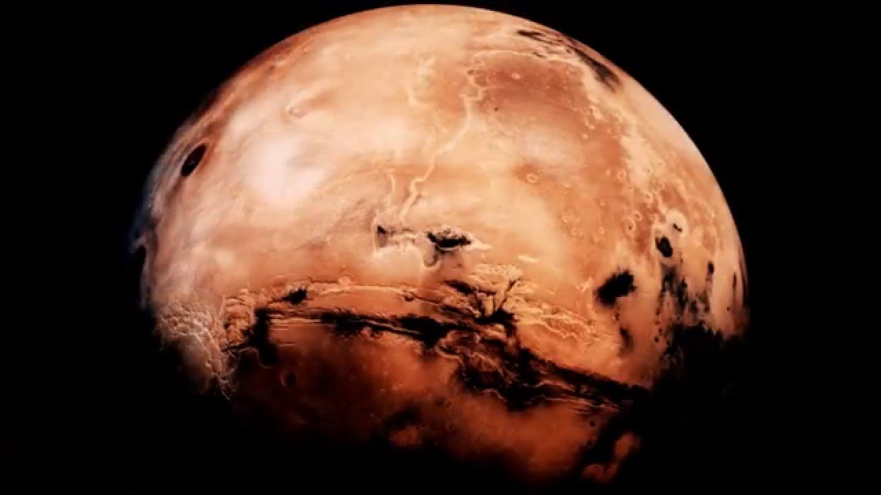 The Elon Musk Song - YouTube