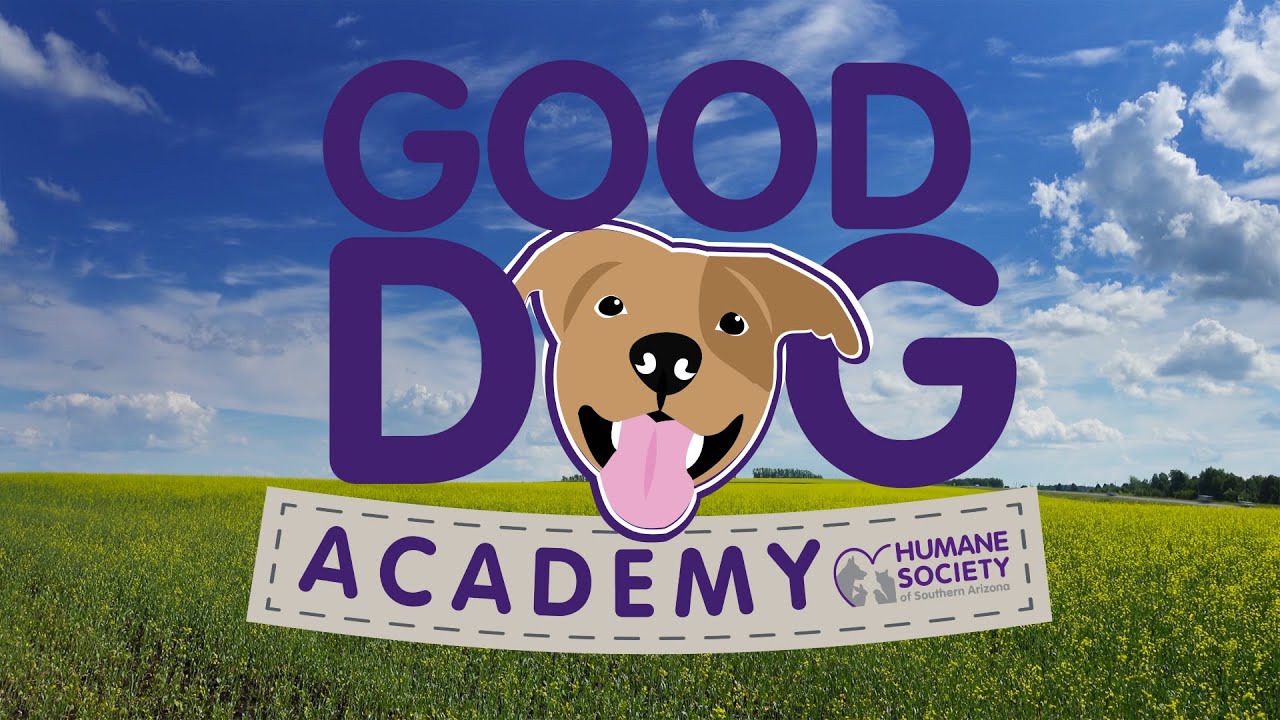 Good Dog Academy - YouTube