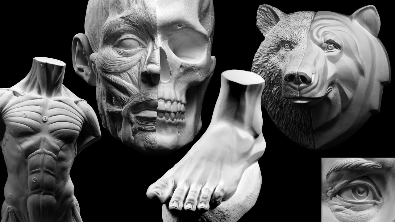 Sculpting 3D Art Reference Models - YouTube