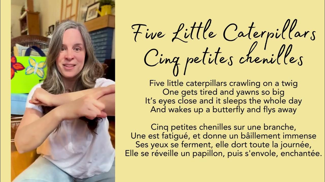 Five Little Caterpillars / Cinq petites chenilles | A Bilingual Action ...