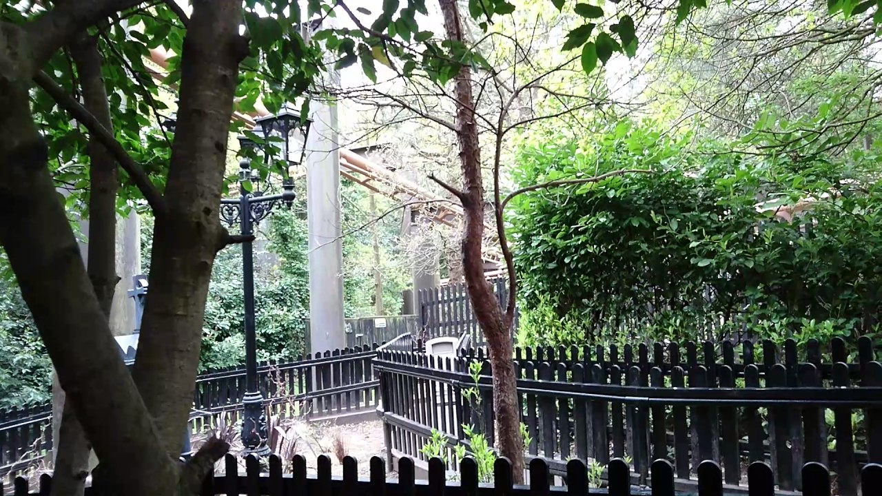 Vampire Roller Coaster Ride At Chessington World Of Adventure - YouTube