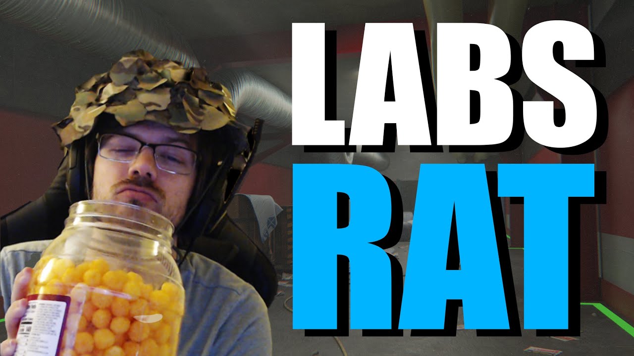 Labs Rat Menace BB - YouTube