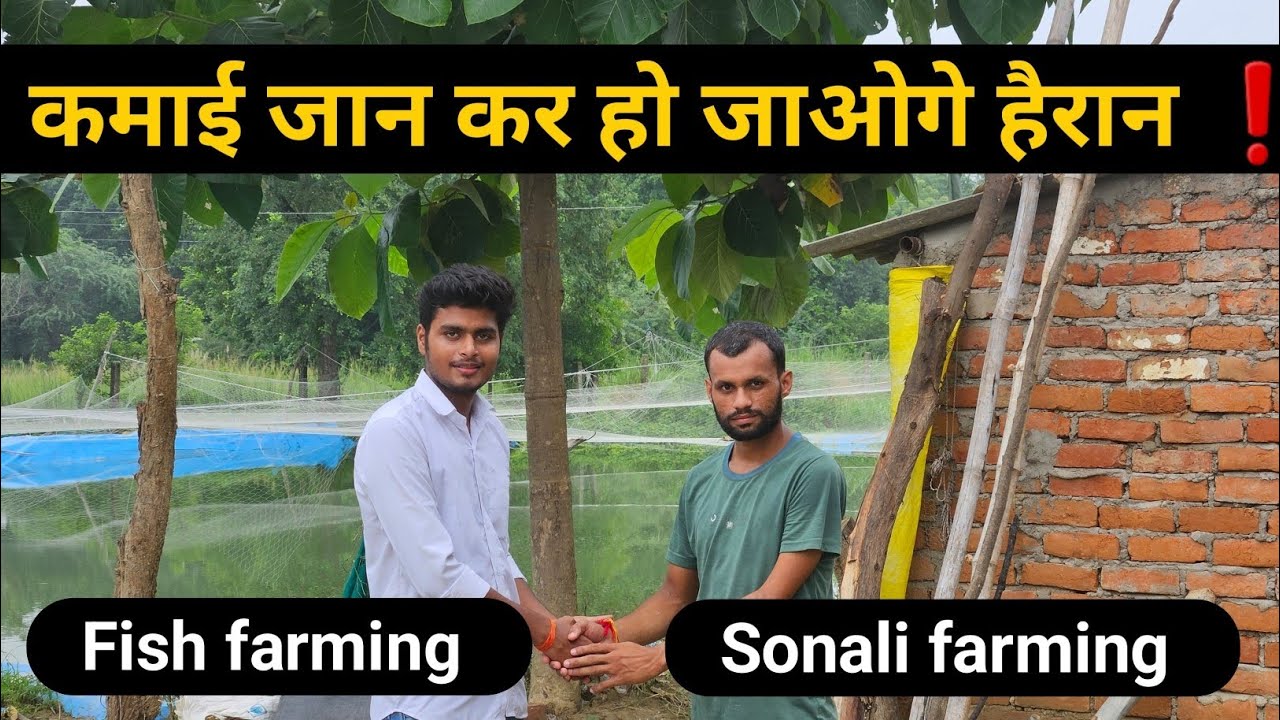 Fish farming + sonali farming पूरी जानकारी - YouTube
