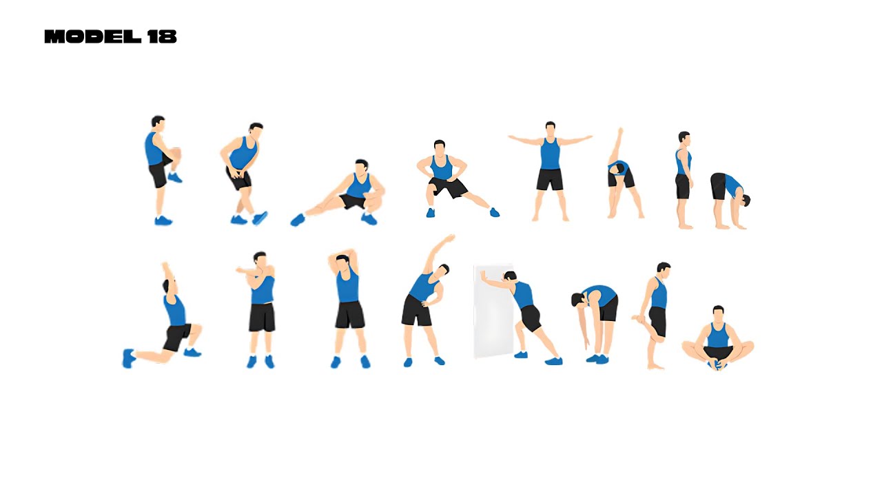 Model 18 (Dynamic Stretching) - YouTube