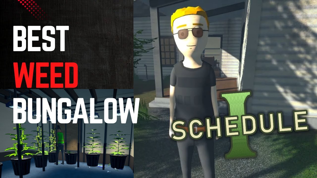 SCHEDULE I - BEST BUNGALOW & OG KUSH WEED SETUP - YouTube