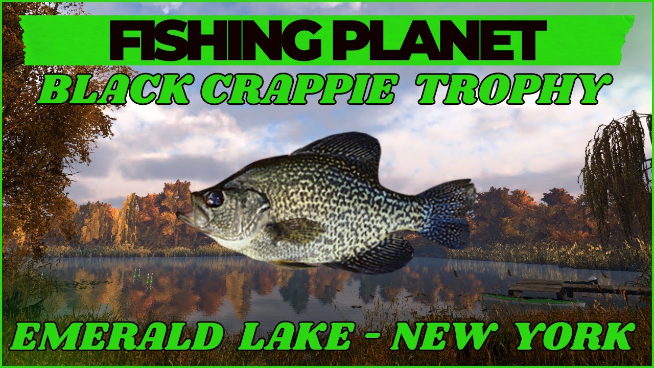 Black Crappie Trophy - Emerald Lake - New York - Fishing Planet - YouTube