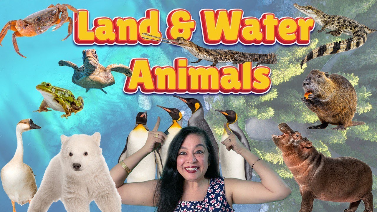 Discover the World of Land and Water Animals! 🌊🦆🌍🐾 - YouTube