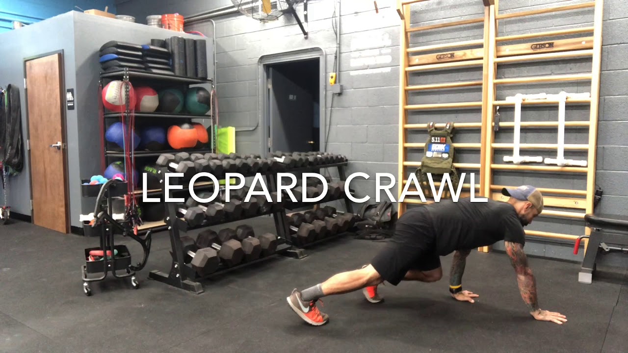 Leopard Crawl - YouTube