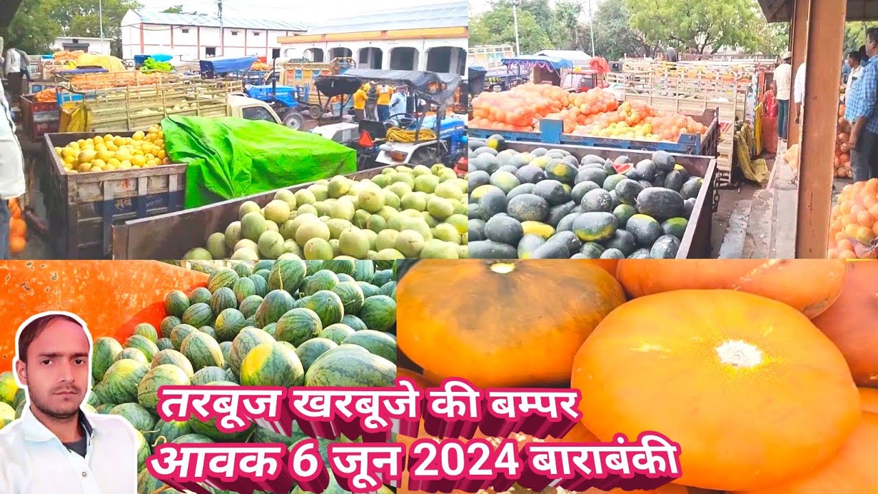 तरबूज खरबूजे की बम्पर आवक 6 जून 2024 बाराबंकी🍉aaj ka tarbuj ka bhav🍉 ...