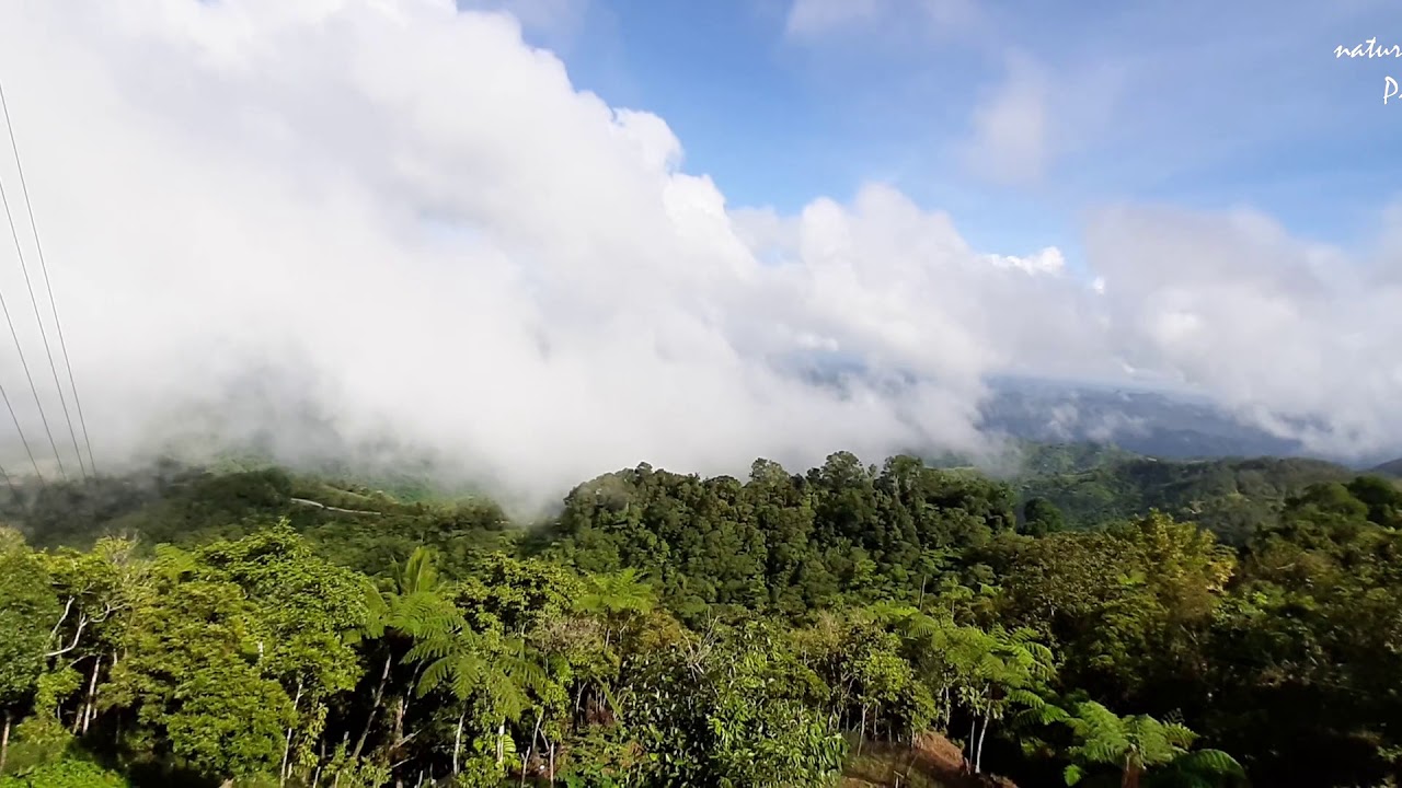 Mt Manunggal Balamban Cebu #philippines #youtube #travel - YouTube