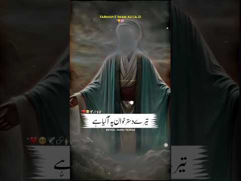 farman e Imam Ali (a.s) || By: Qibla Allama Asif Raza Alvi || 2025 Status ||
