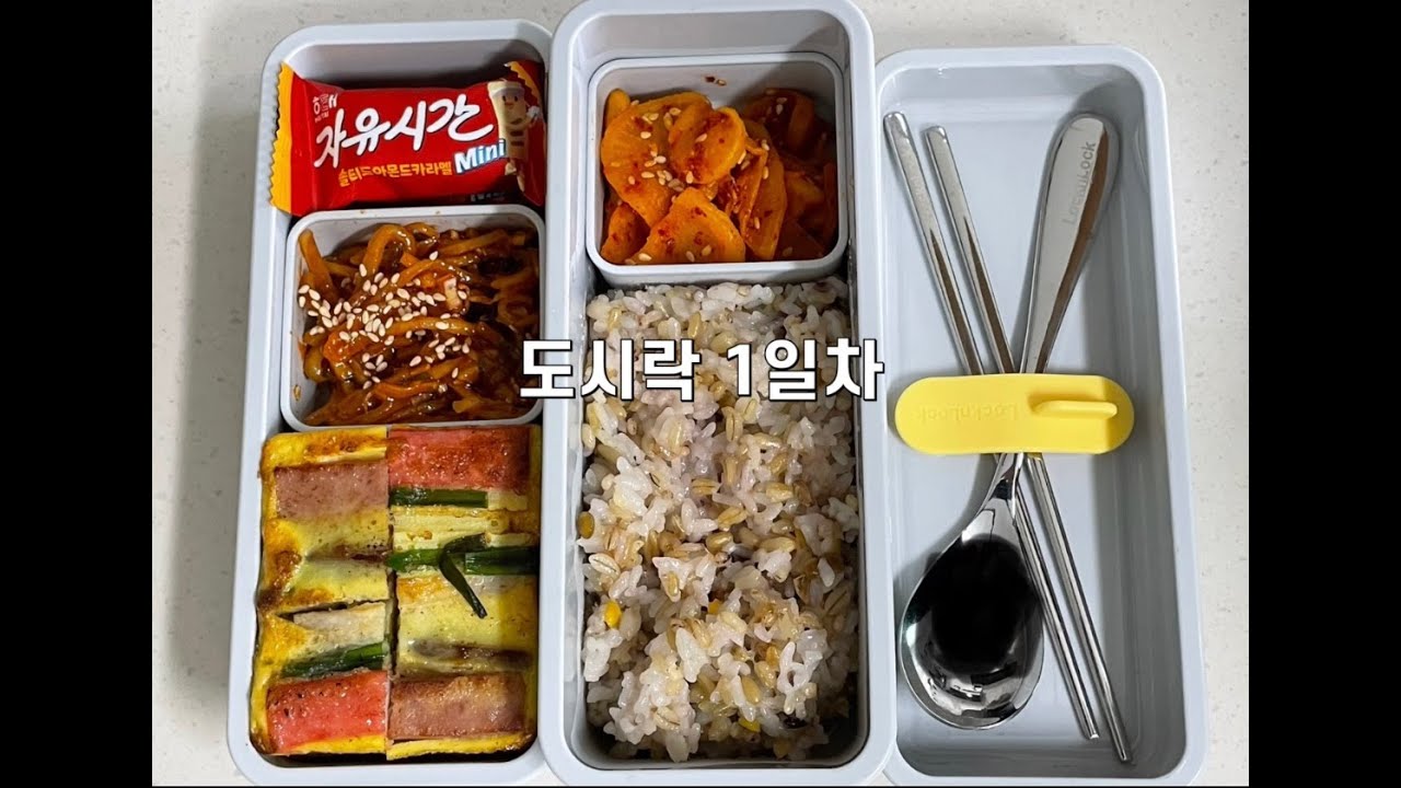 도시락1일차 새벽 530분 기상 미라클 모닝의 시작 밥짓고 도시락싸기 Youtube