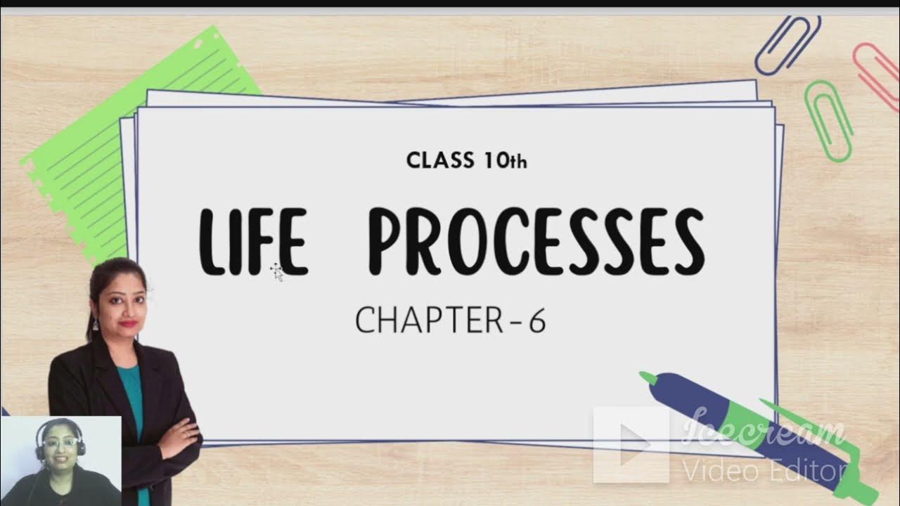 Life Processes_Circulatory System_Lecture 5_Class 10th_CBSE - YouTube